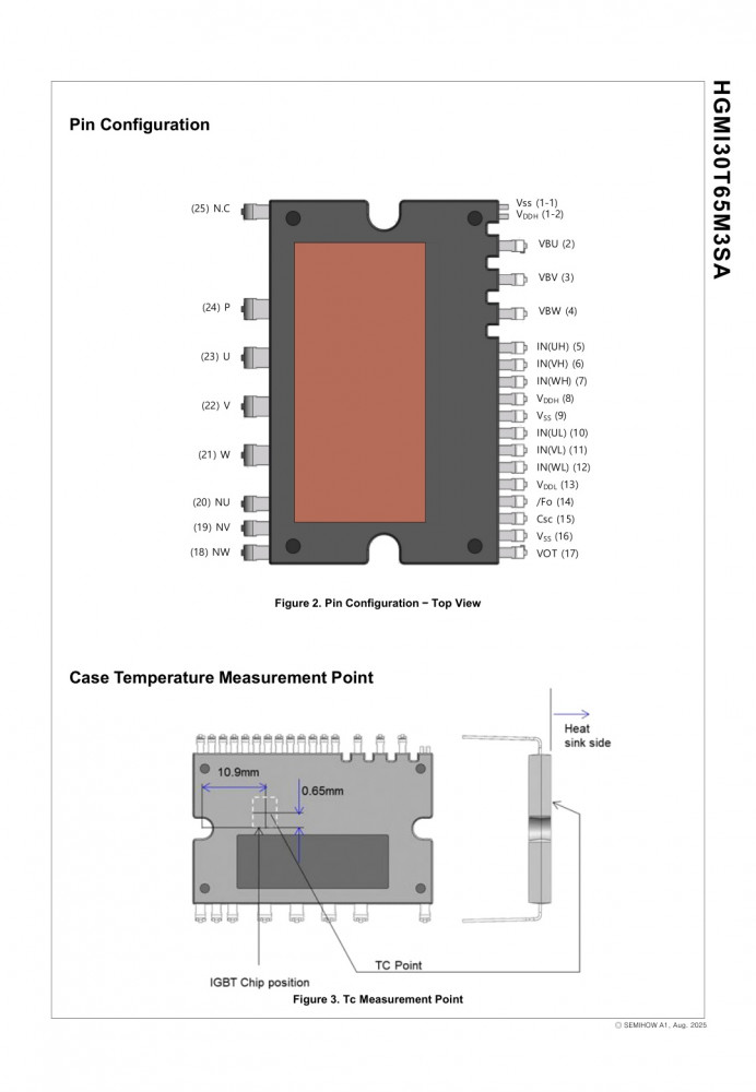 HGMI30T65M3SA datasheet page 2