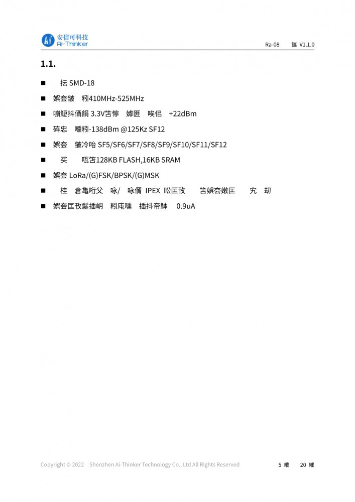 Ra-08 technical document page 5