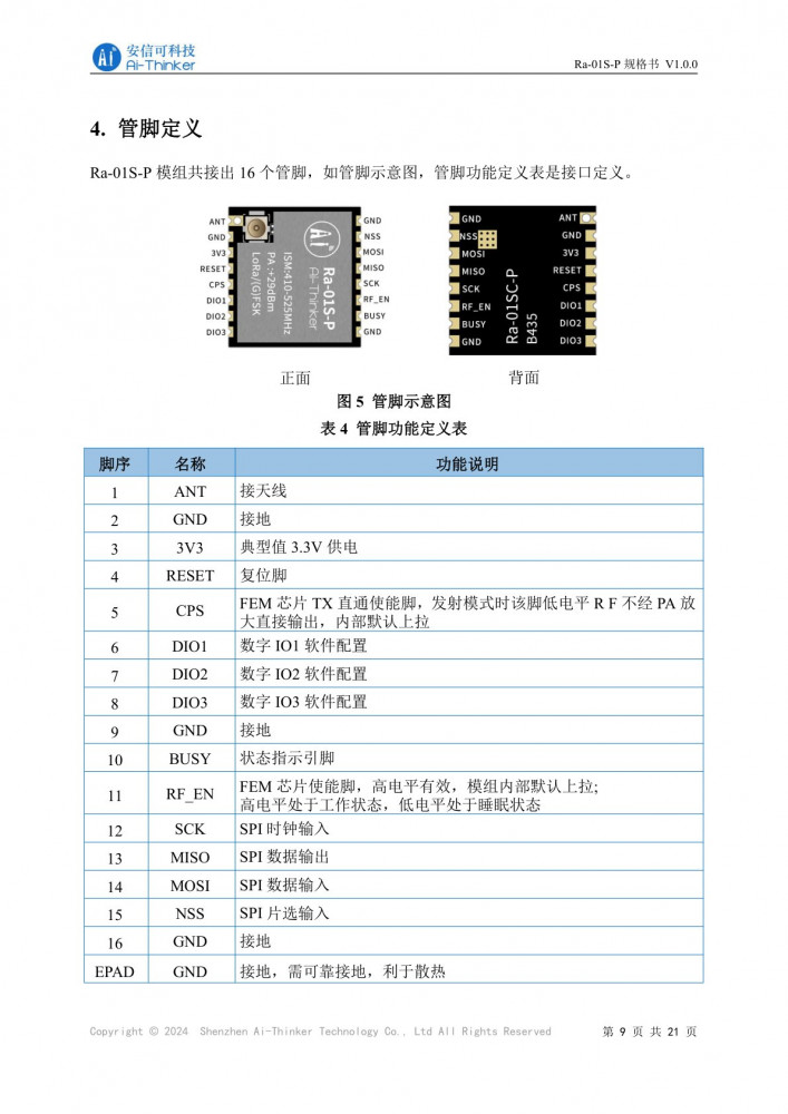Ra-01S-P datasheet page 9