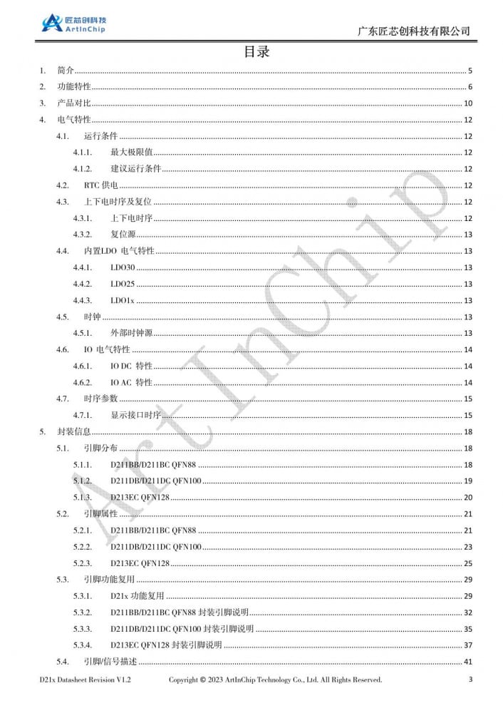 D21x datasheet page 4