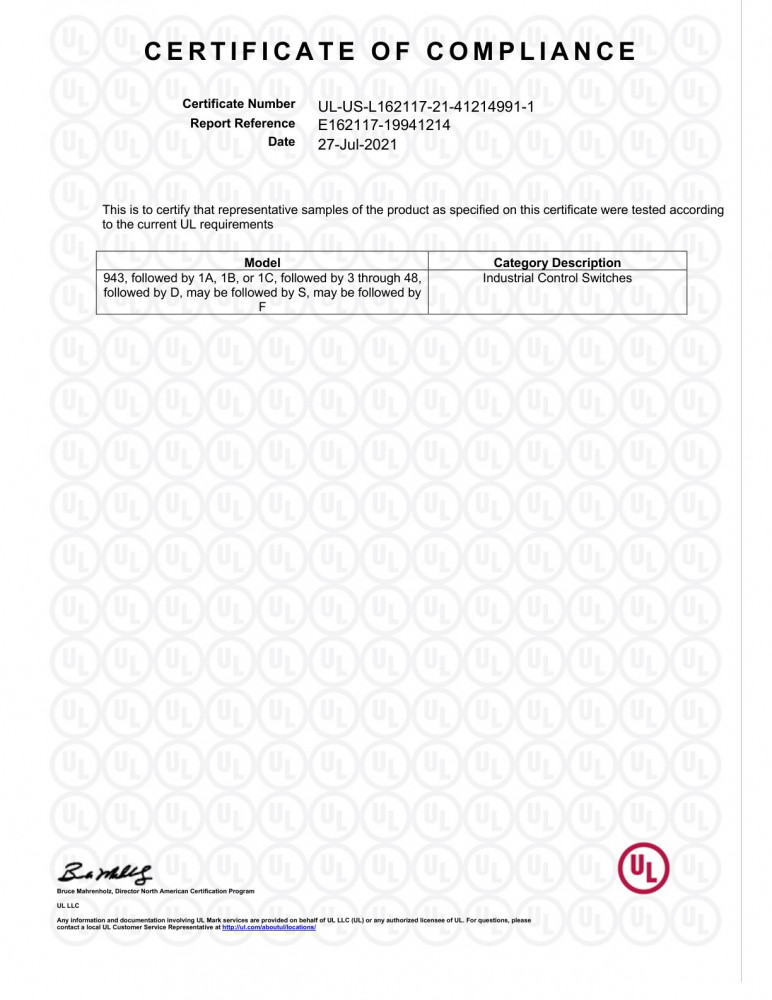 943-1C-12DS-10A technical document page 9