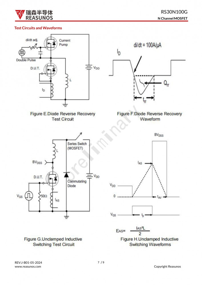 RS30N100G datasheet page 7