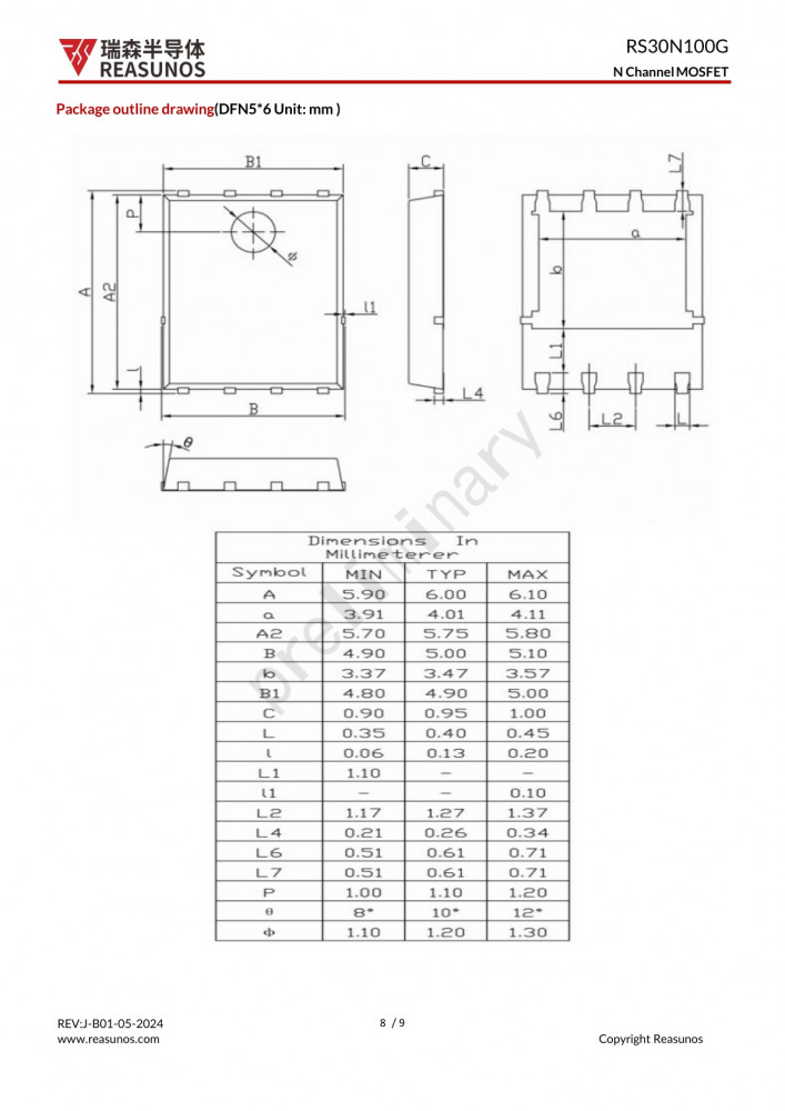 RS30N100G datasheet page 8