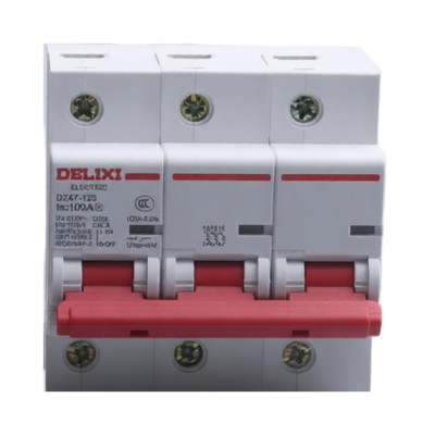 Delixi Electric DZ47V1252D80 Miniature Circuit Breaker