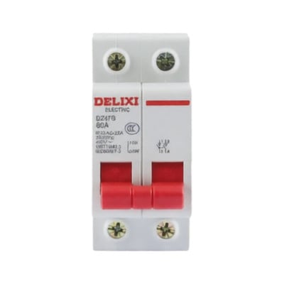 Delixi Electric DZ47G 2P 32A Disconnect Switch Component