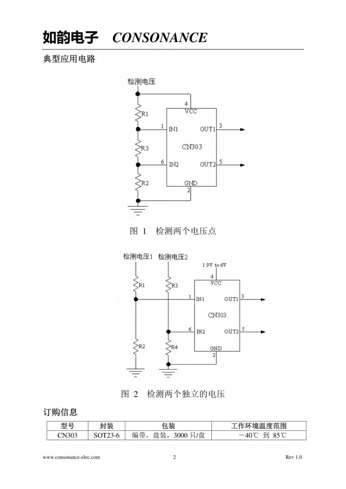 CN303 datasheet page 2