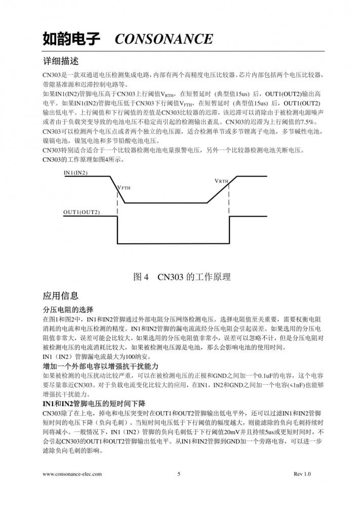 CN303 datasheet page 5