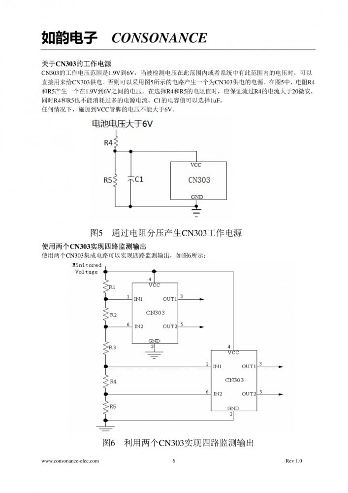 CN303 datasheet page 6
