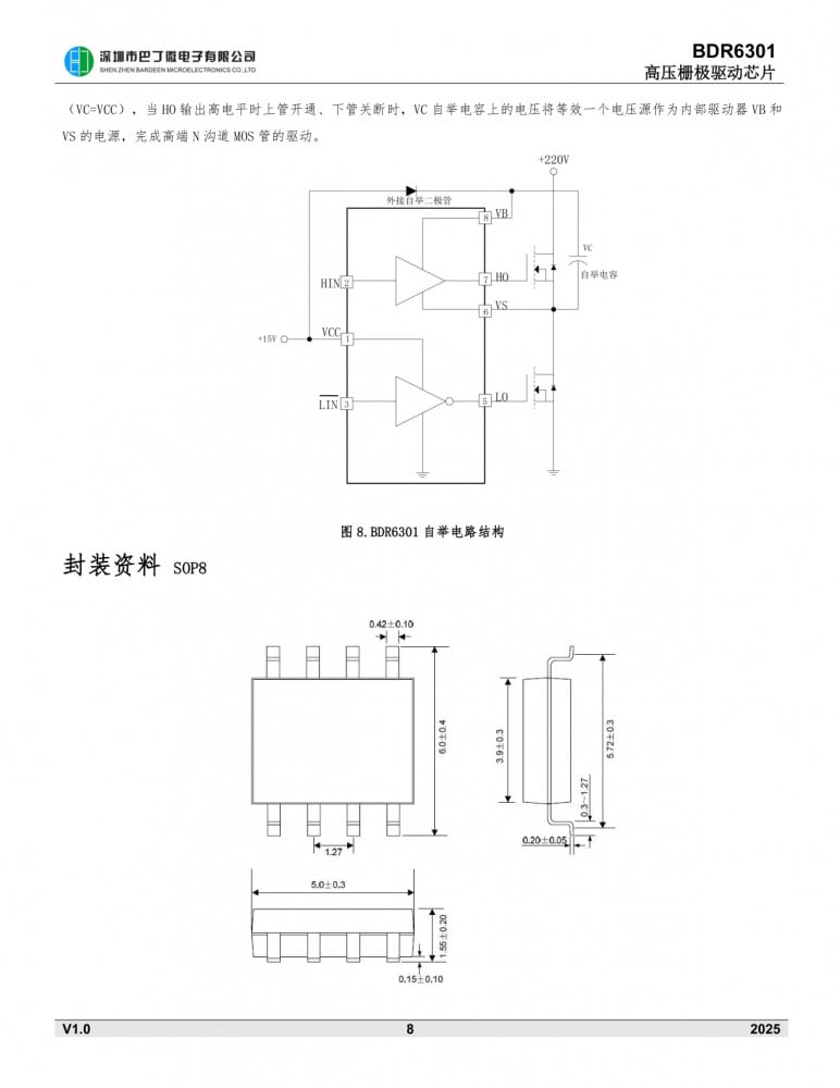 BDR6301 datasheet page 8