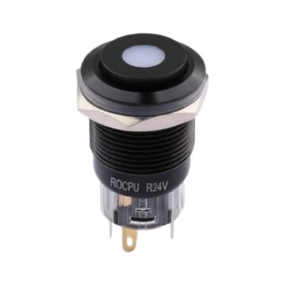 ROCPU Switches TP91930G124RAB Pushbutton Switch