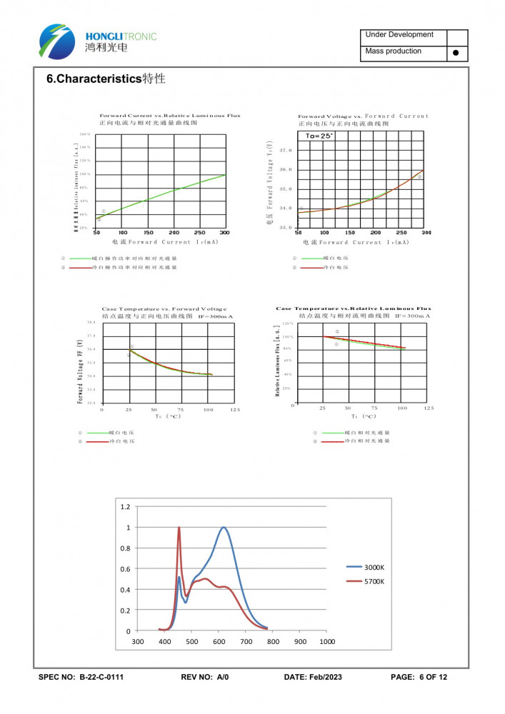 LM1311D4W-12B4C12(Ra4)-DS specification page 6