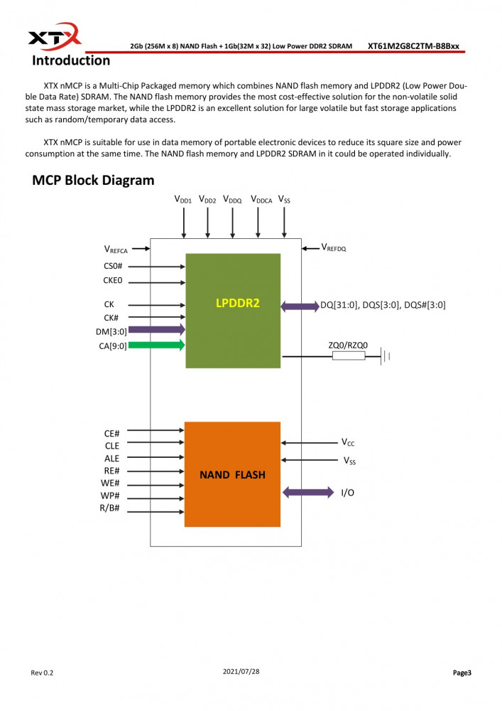 XT61M2G8C2TM-B8BEA datasheet page 3