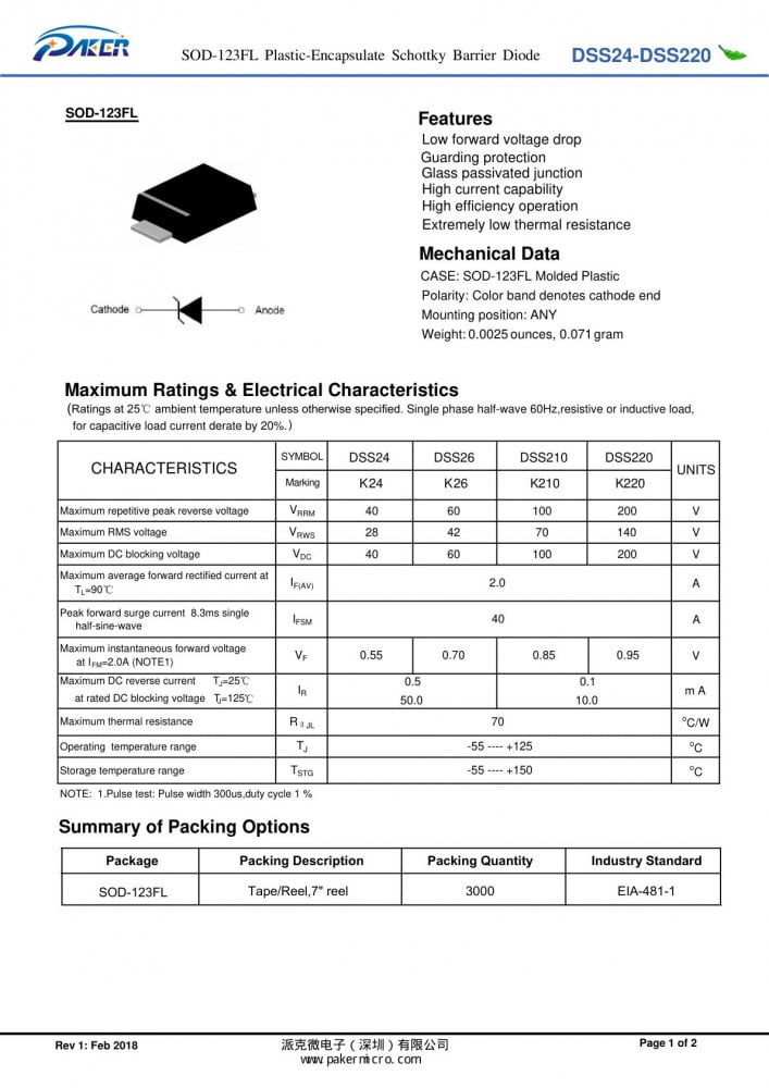 DSS210 datasheet page 1
