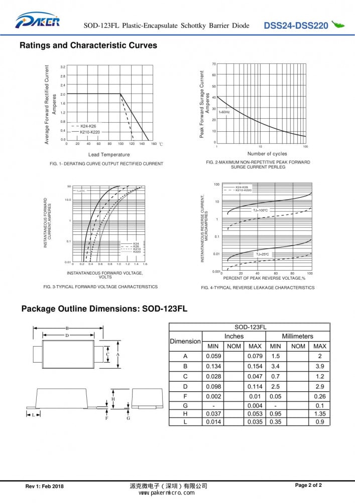 DSS210 datasheet page 2