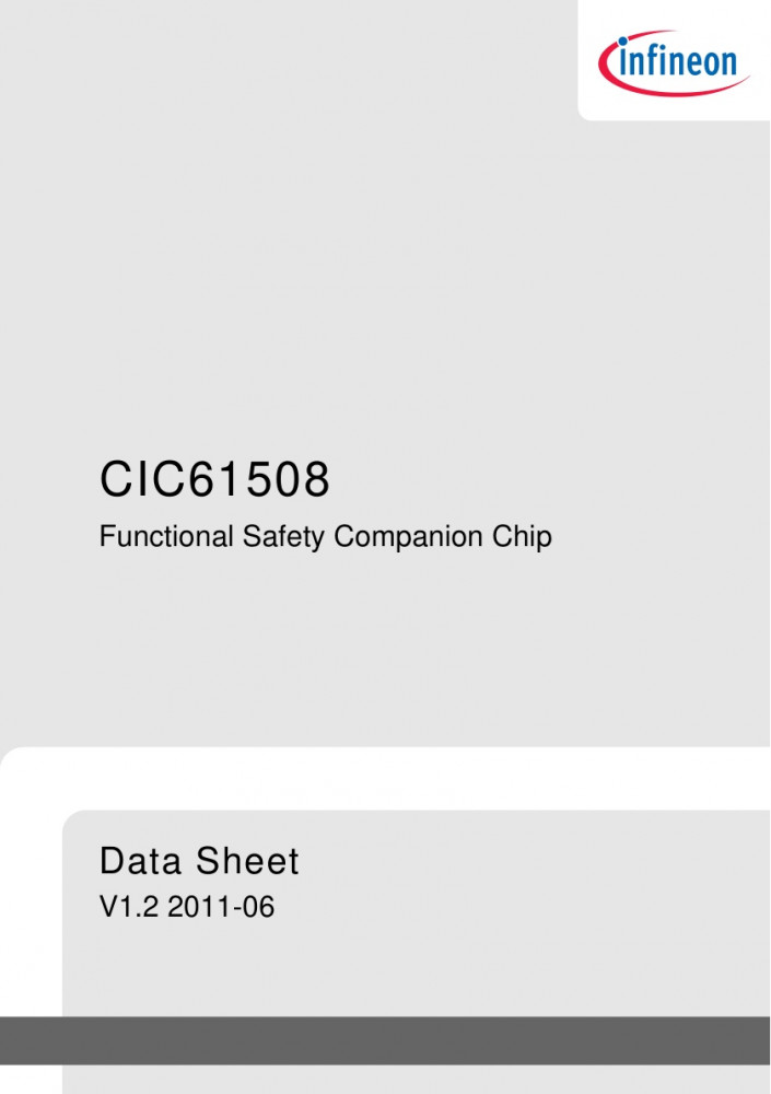 CIC61508 datasheet page 3