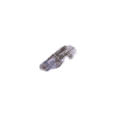 LGE P4KE33CA TVS Diode