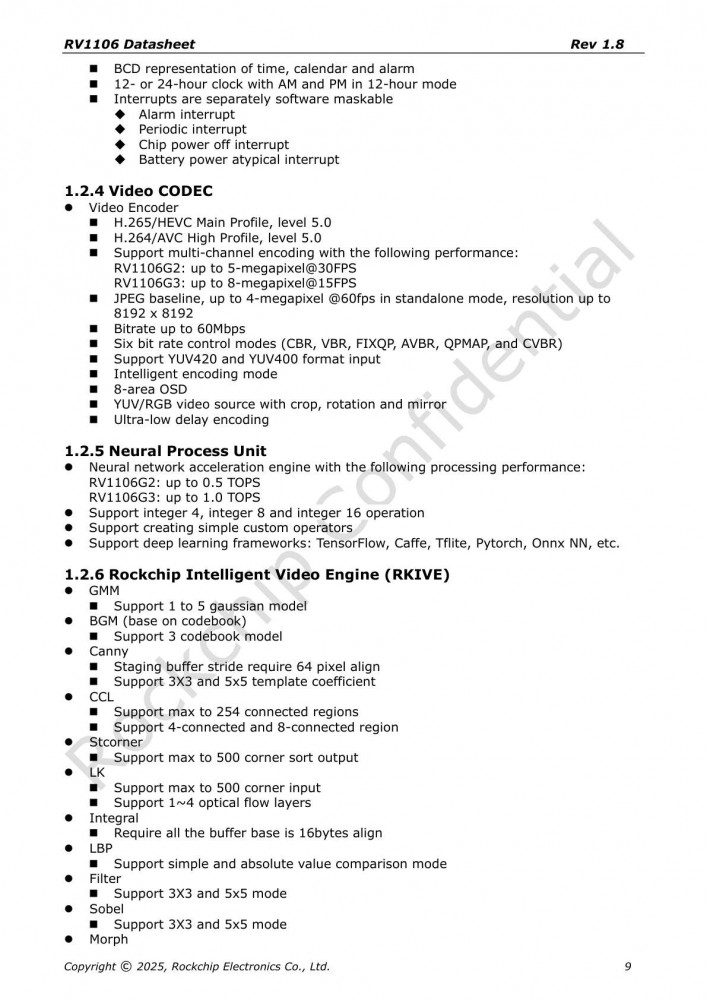 RV1106 datasheet page 9