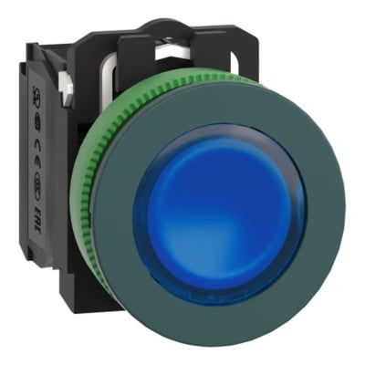 Schneider XB5FL42 Pushbutton Switch