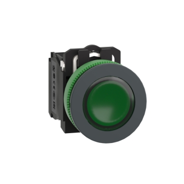 Schneider XB5FW33G5 Pushbutton Switch for sale