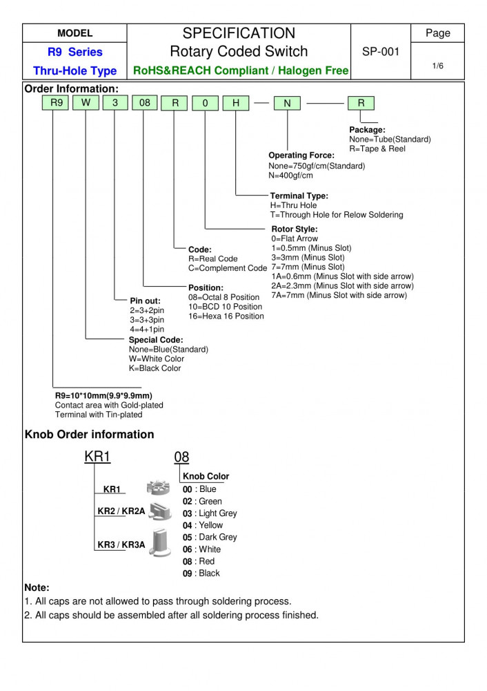 BIWIN R9 series datasheet page 1