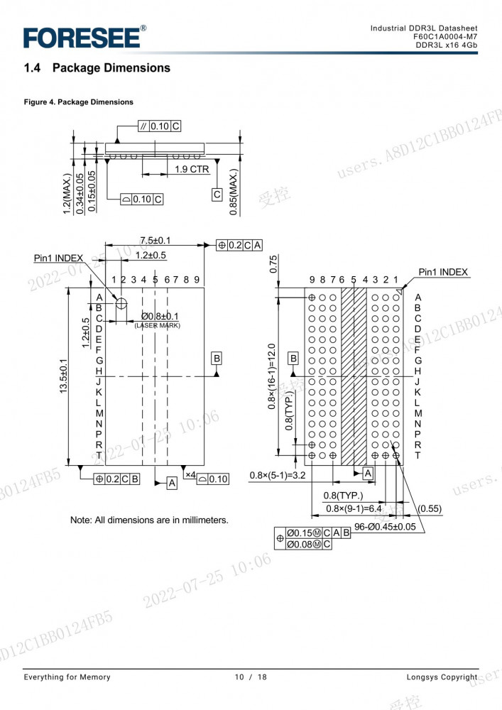 FORESEE DDR3L datasheet page 10