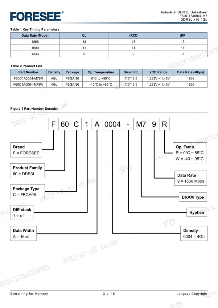 FORESEE DDR3L datasheet page 3