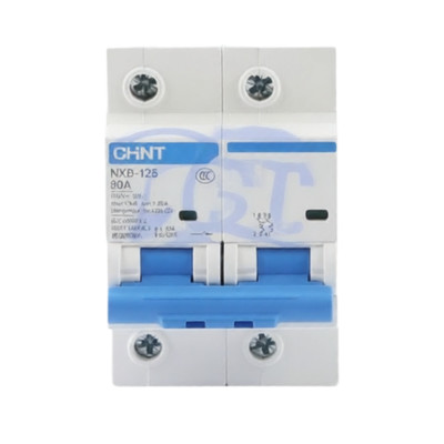 CHINT NXB-125 2P D125 Miniature Circuit Breaker