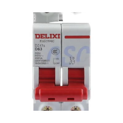 Delixi Electric DZ47s D 2P 16A Miniature Circuit Breaker