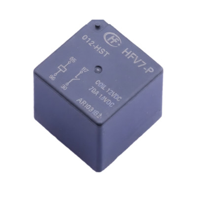 HONGFA HFV4/012-1H6GR2