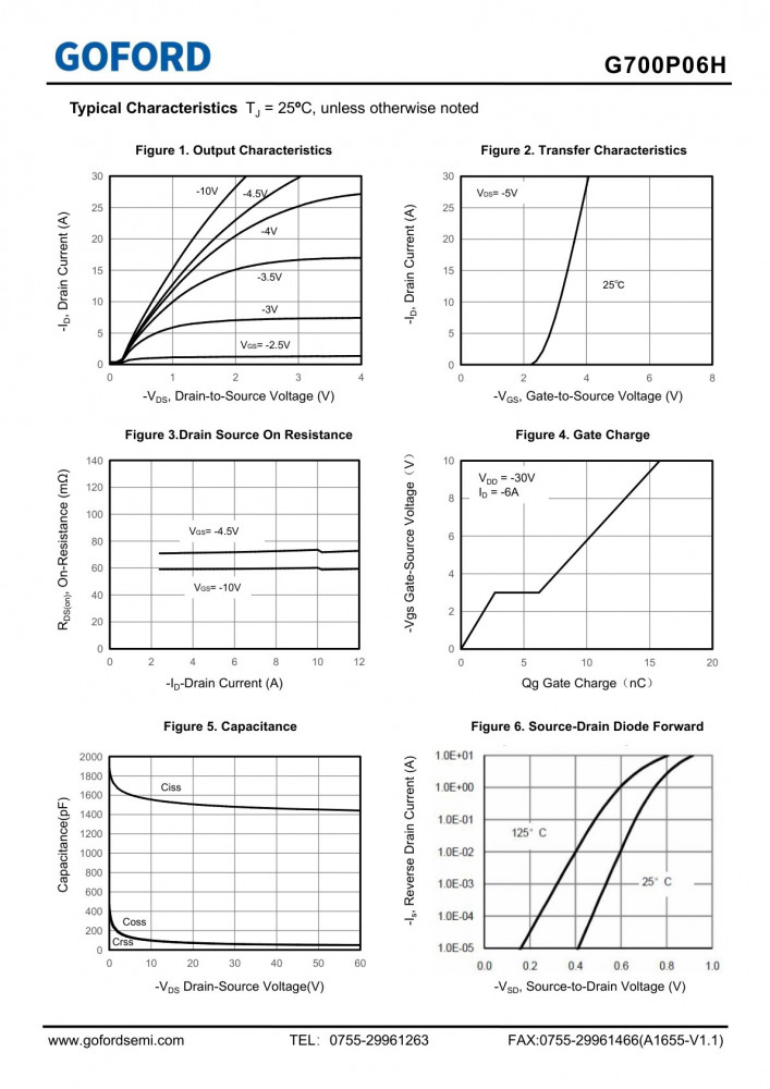 G700P06H datasheet page 4