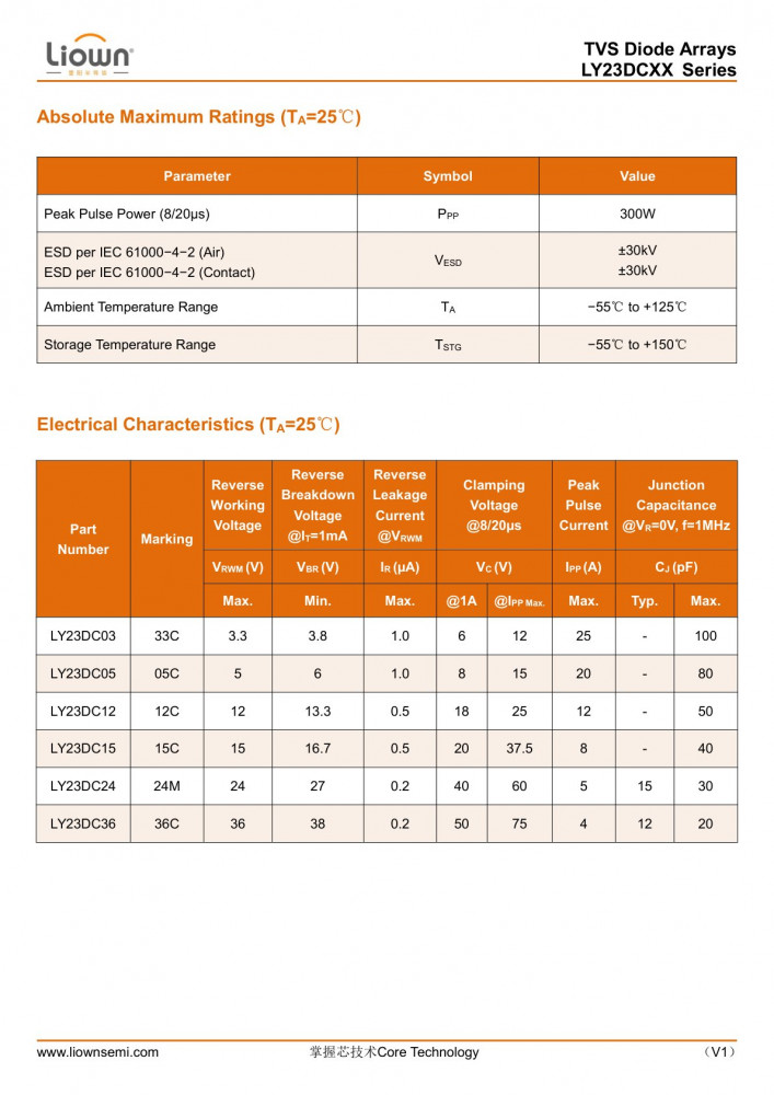 Liown LY23DC24 datasheet page 2