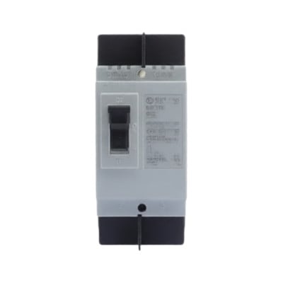 CHINT DZ15-40/3902 40A Molded Case Circuit Breaker