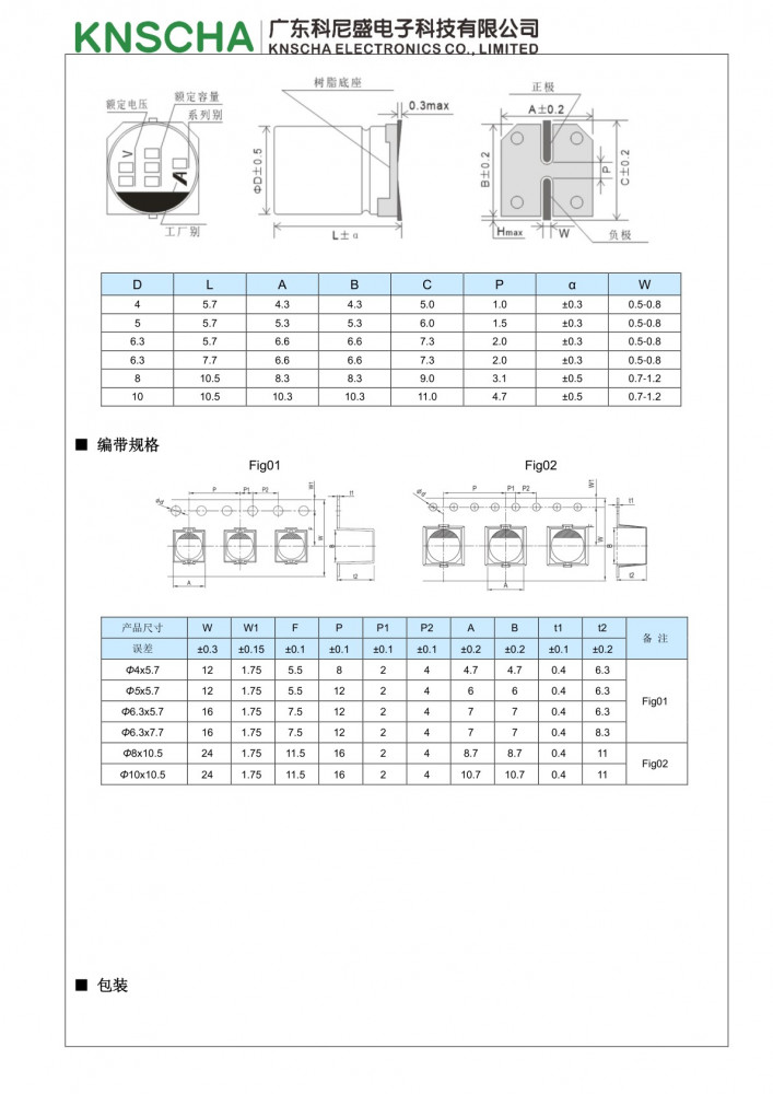 KNSCHA 189RV0038 datasheet page 3