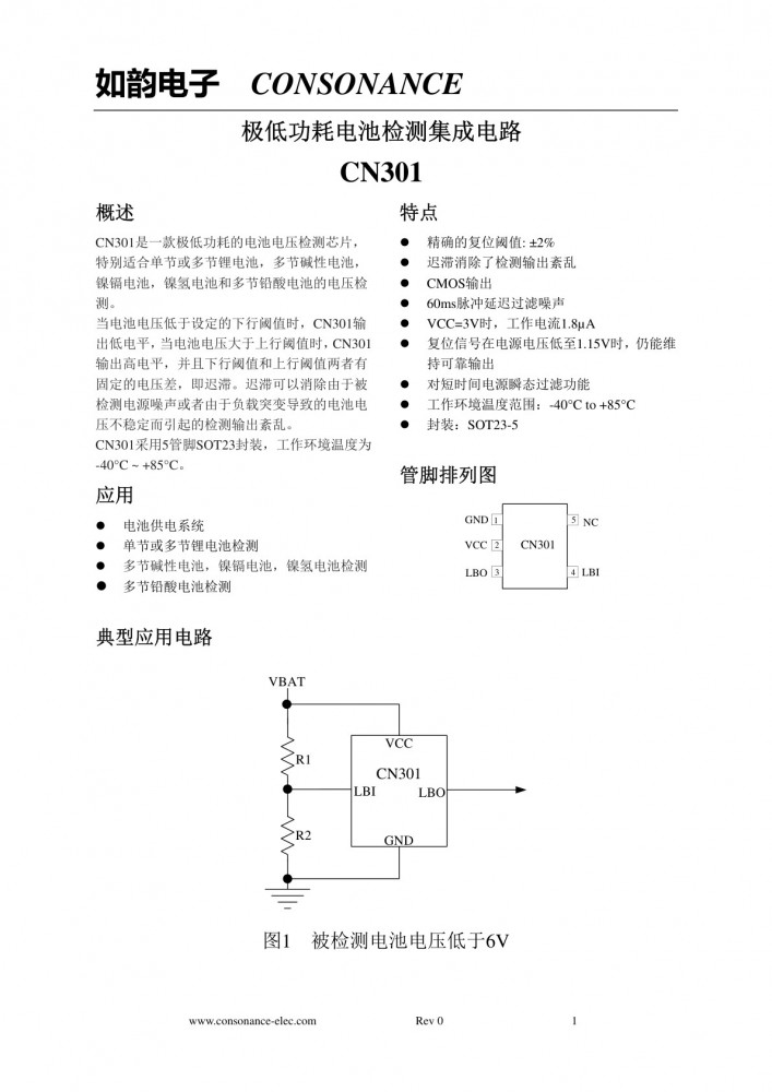 CN301 datasheet page 1