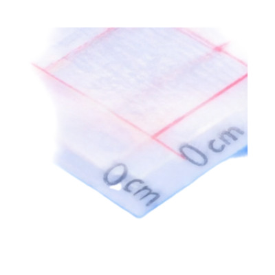 Darfon Elec C1608NP0399CGTS Ceramic Capacitor