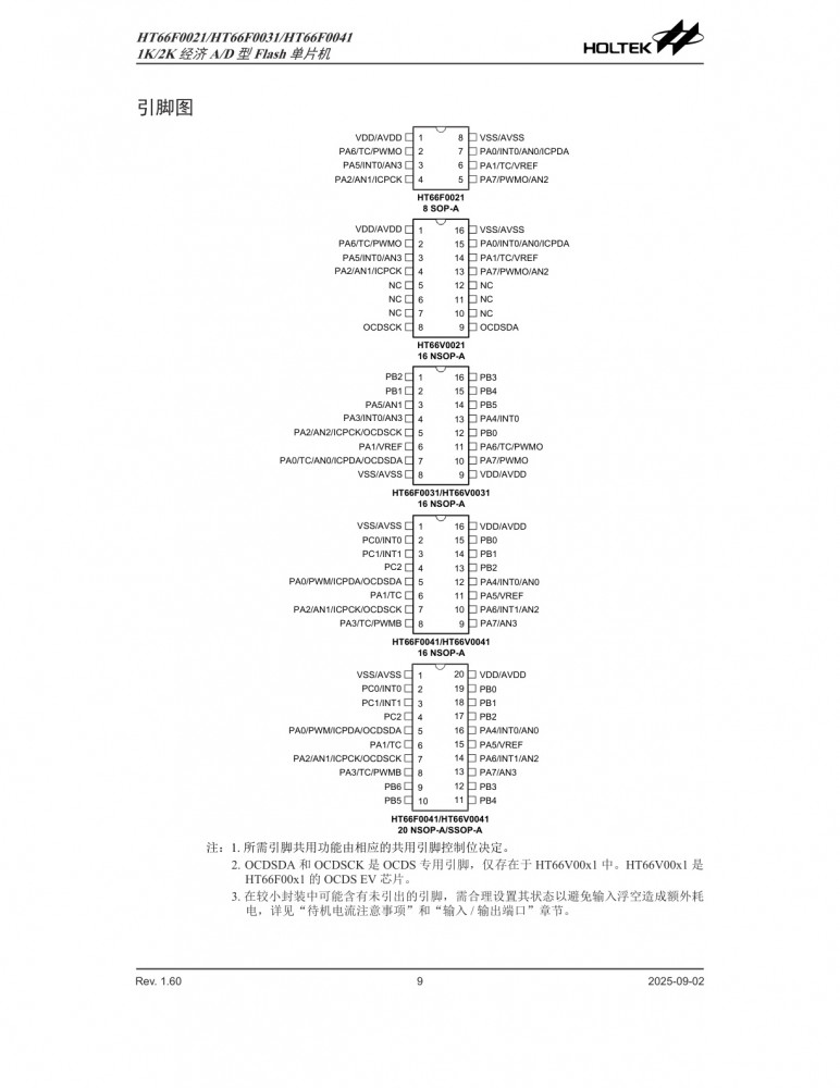 HT66F0041 datasheet page 9