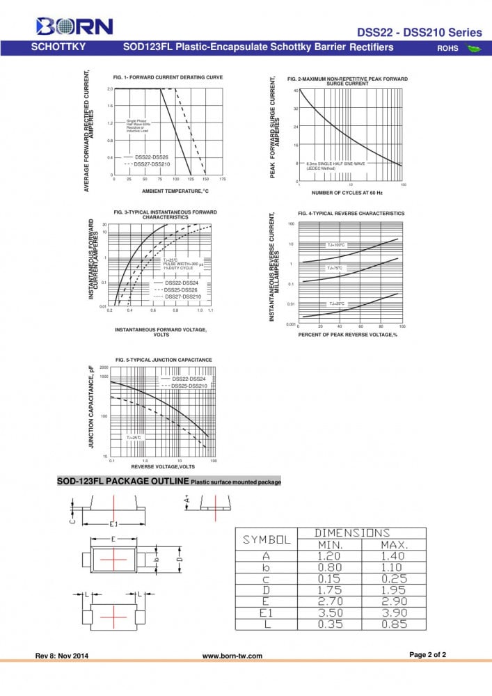 BORN DSS24 datasheet page 2