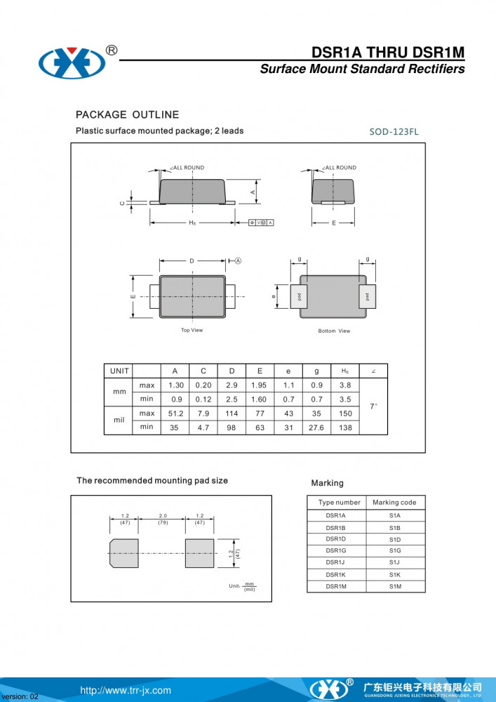 DSR1B S1B datasheet page 3