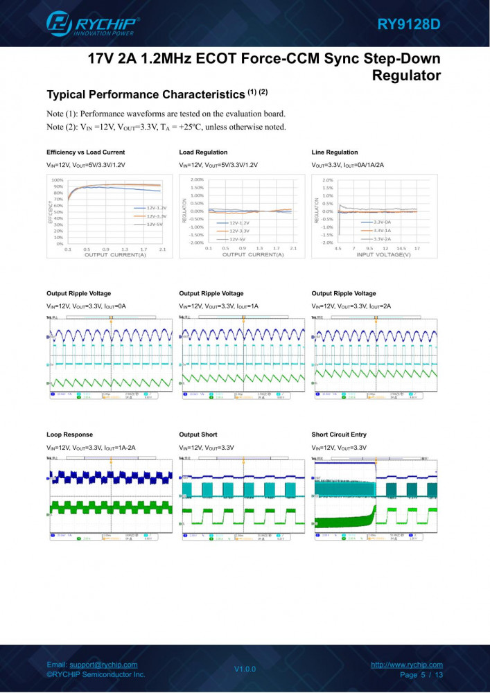 RY9128D datasheet page 5