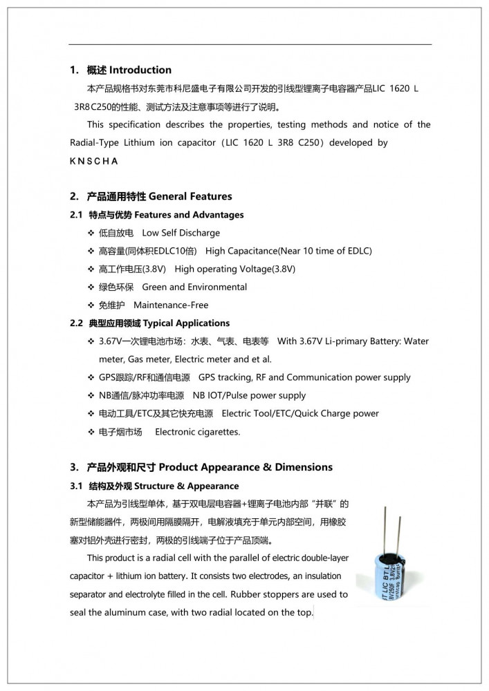 LIC1620L3R8C250 specification page 4