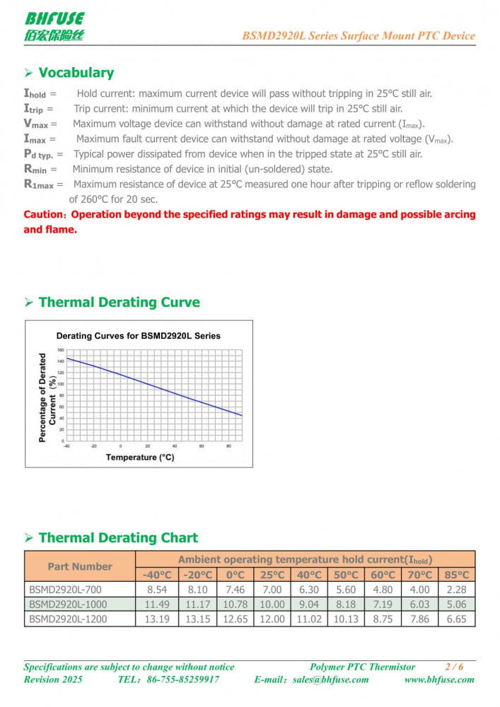 BSMD2920L-1200-24V datasheet page 2