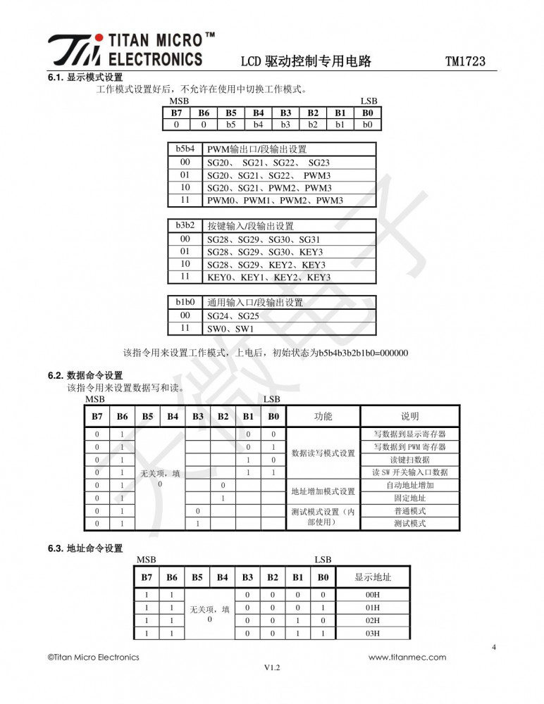TM1723 datasheet page 4