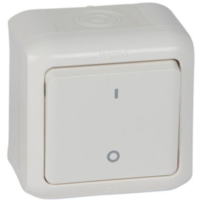 Forix - 2 gang two-way switch - surface mounting - 10 AX 250 V~ - Grey