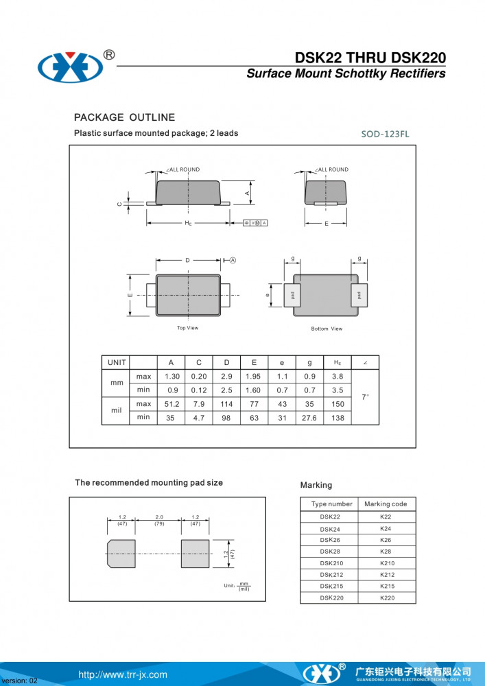 DSK22 K22 datasheet page 3