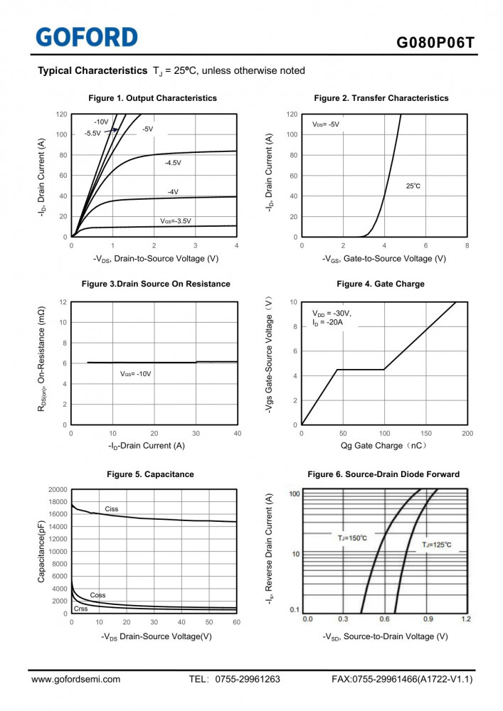 G080P06T datasheet page 4