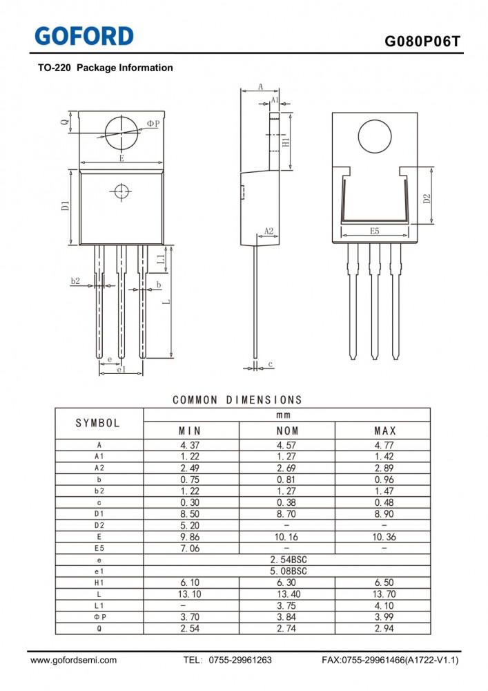 G080P06T datasheet page 6
