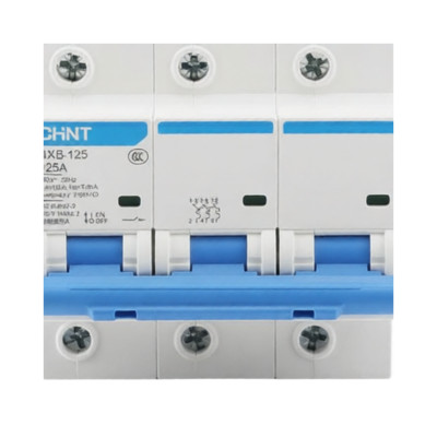 CHINT NXB-125 2P D125 Miniature Circuit Breaker