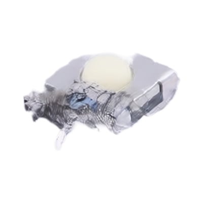 BZCN TSE024A2518A Tactile Switch