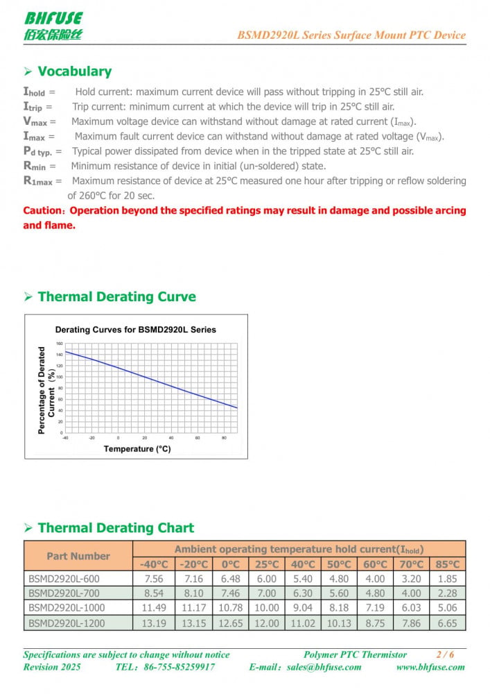 BHFUSE BSMD2920L datasheet page 2