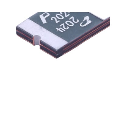 PTTC(Polytronics Tech) SMD2920P100TF